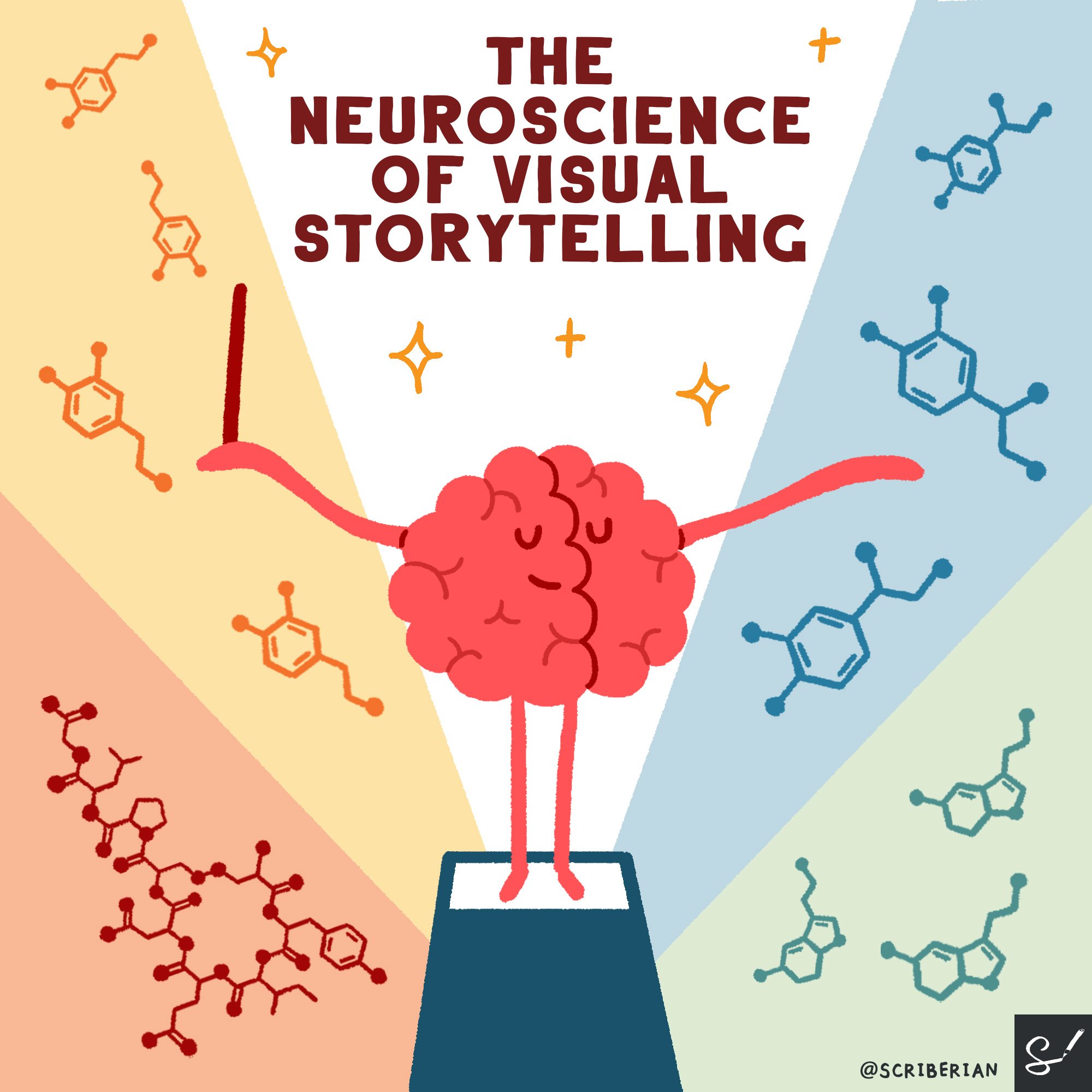 The neuroscience of visual storytelling